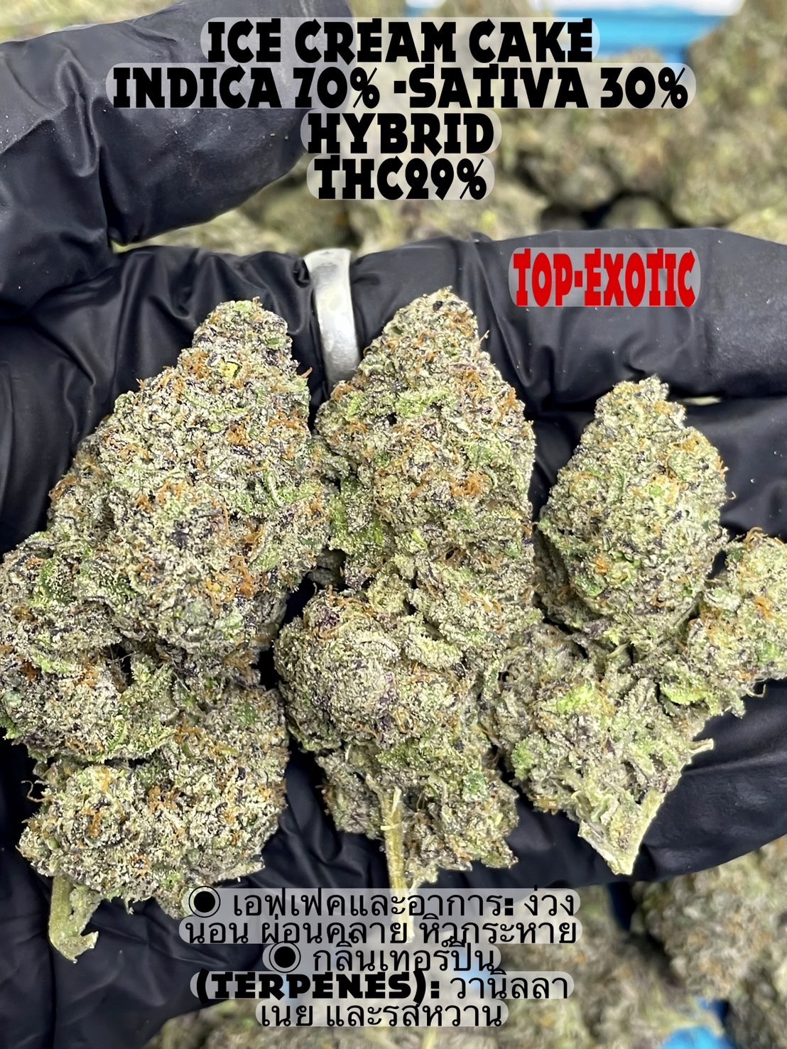 Ice cream cake - CANNAZONE
